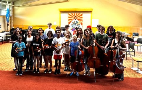 Madison Cello Ensemble | Expert Cello Instruction!